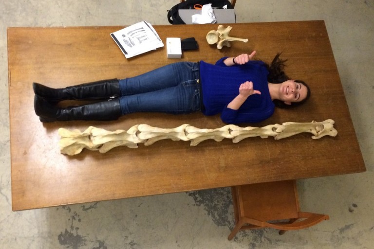 When Your Anatomy Professor Is A Paleontologist When Your Anatomy Professor Is A Paleontologist