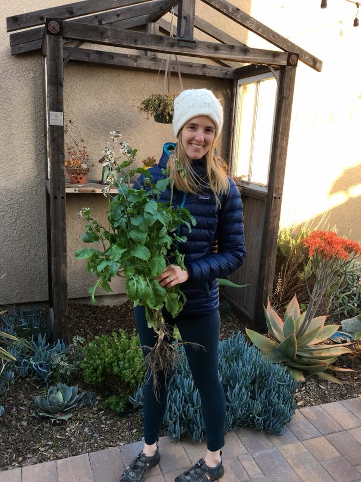 Life outside medicine: These DOs paint, play music and raise chickens ...